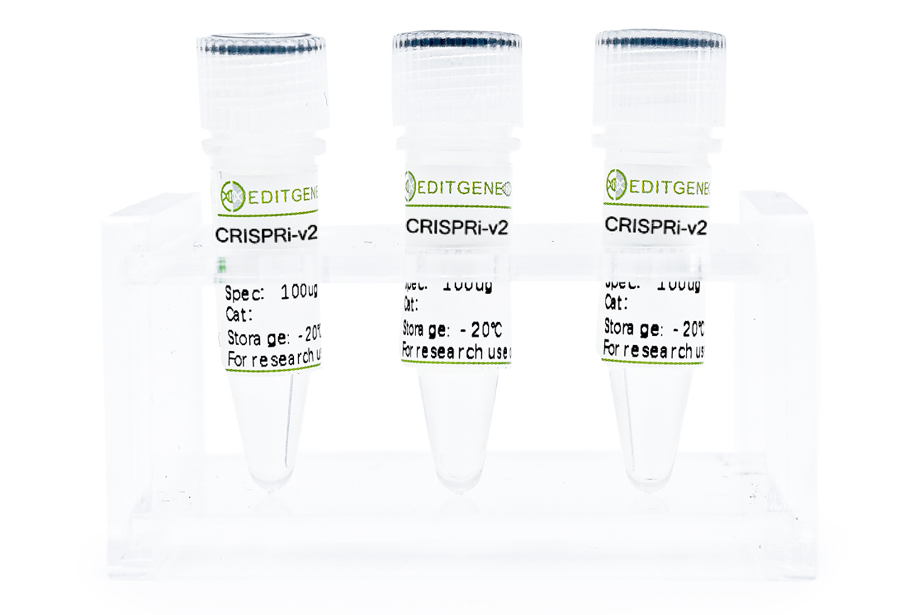 人全基因组CRISPRi-v2 文库质粒 – 艾迪基因